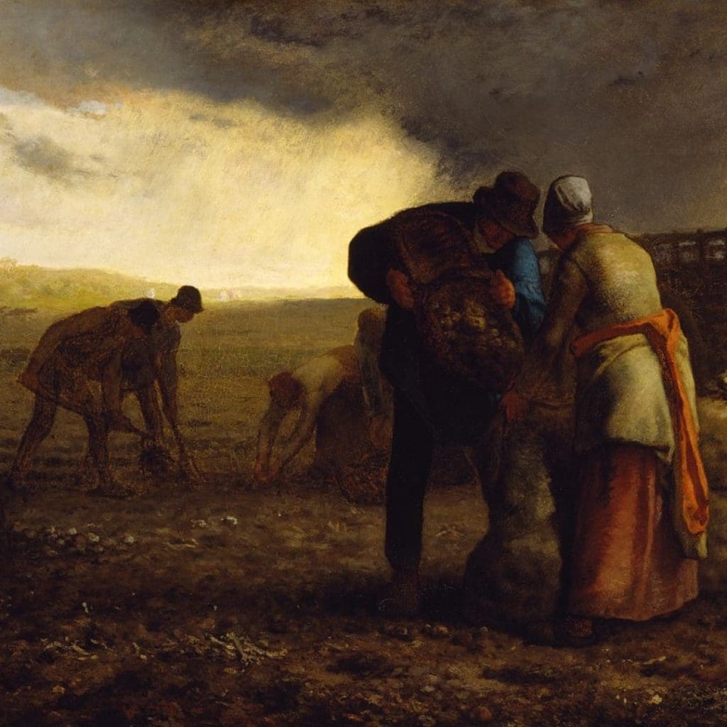 Late blight ravaged Ireland's potato crop - LifeScienceHistory.com