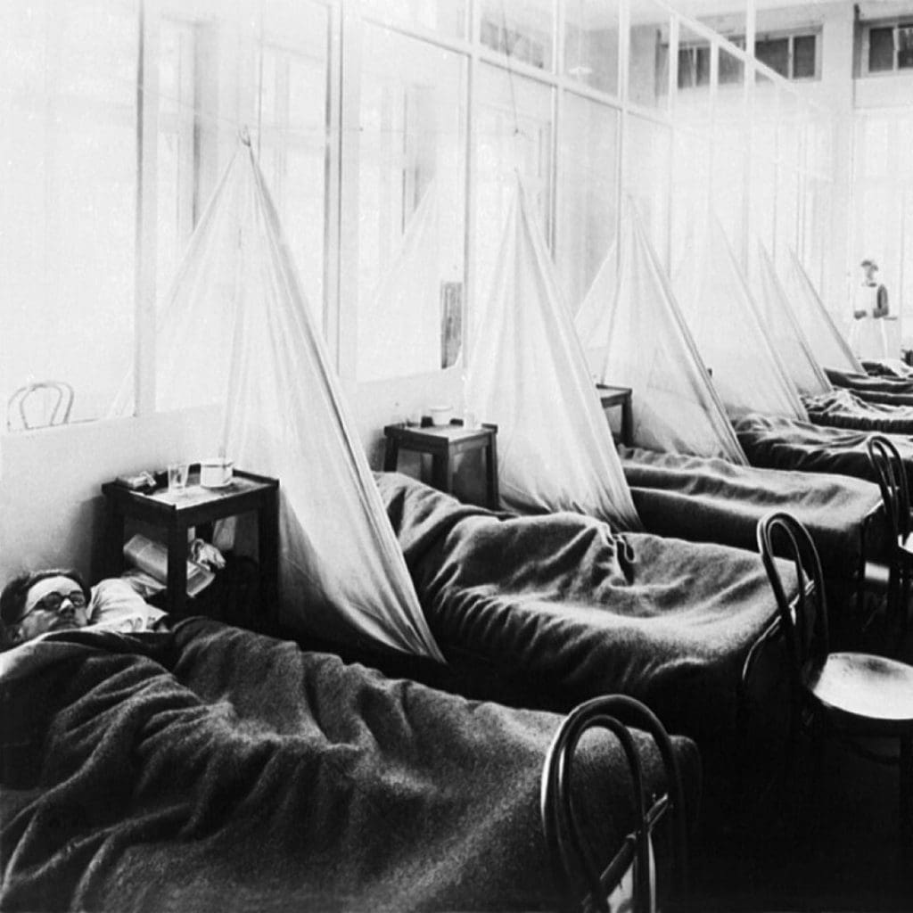 The Emory Unit, Base Hospital 43, served during World War I ...
