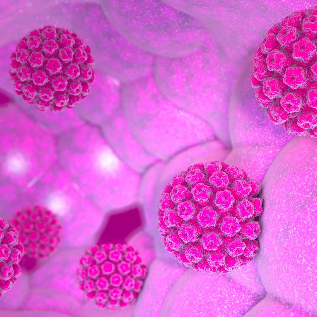 The Hybrid Capture II human papillomavirus (HPV) DNA test was approved ...