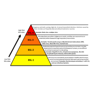 The CDC opened an expanded maximum containment lab (hot lab) for highly ...