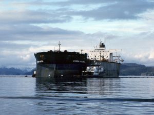 The Exxon tanker Valdez struck an Alaskan reef, causing one of history ...