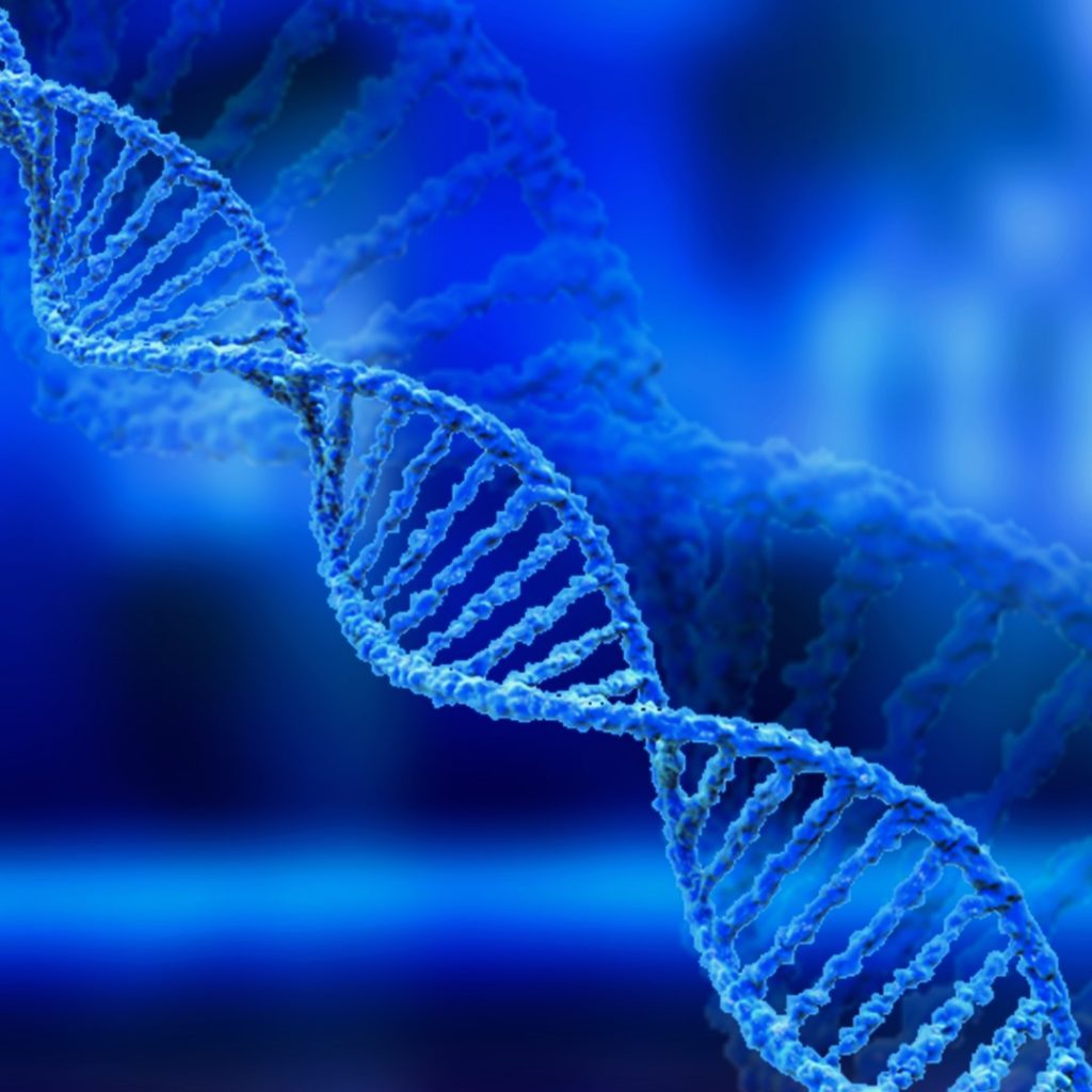 The National Institutes of Health issued guidelines for DNA splicing ...