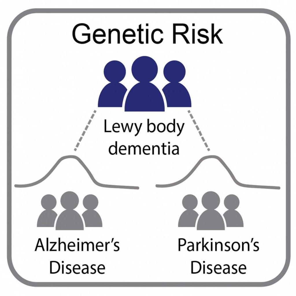 Genetic study of Lewy body dementia supported ties to Alzheimer's and ...