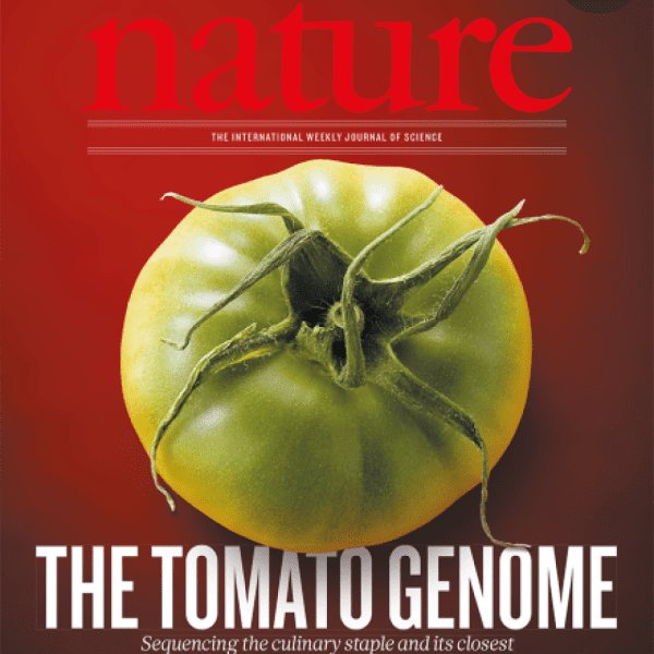 The International Tomato Genome Sequencing Project was launched ...