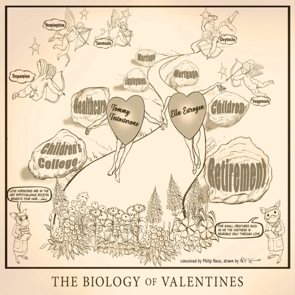 Biology of Valentines - LifeScienceHistory.com