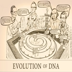 Evolution of DNA - LifeScienceHistory.com