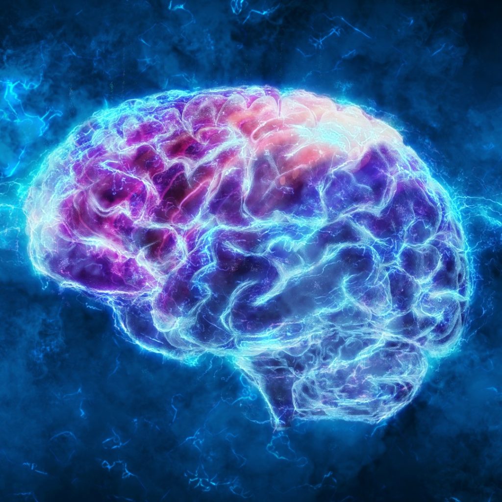 Rice launches Brain Institute to accelerate discoveries in brain ...