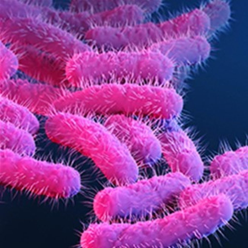 Genomic sequencing illuminated Shigella outbreaks in California ...