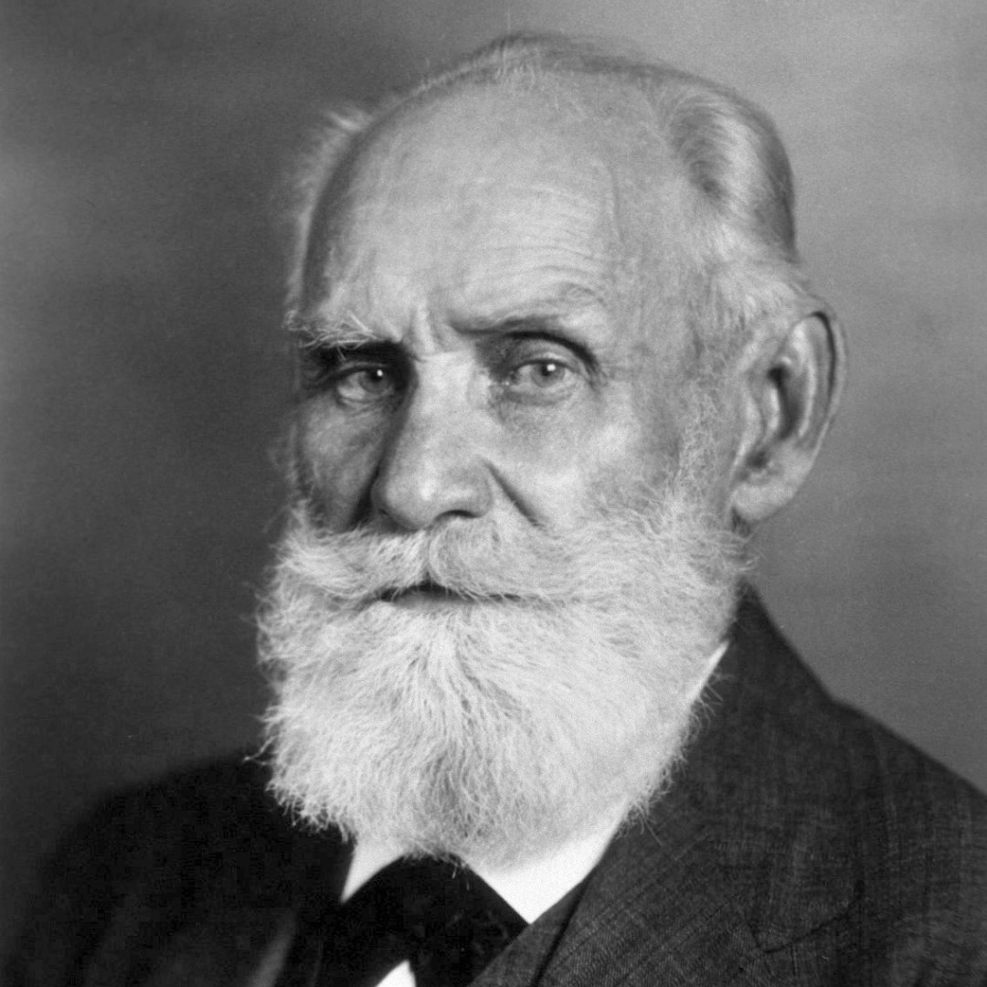 Perfect as the wing of a bird may be, it will never enable the bird to ...