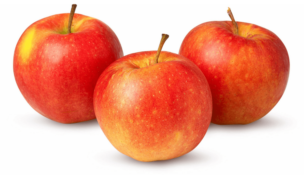 FDA Approved Arctic apple for commercialization - LifeScienceHistory.com