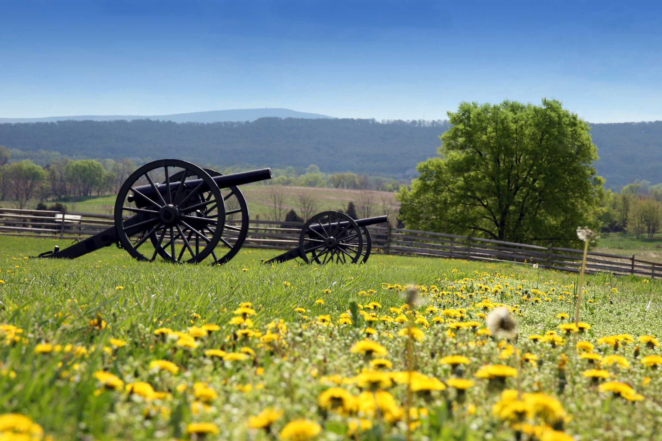 Maryland - LifeScienceHistory.com